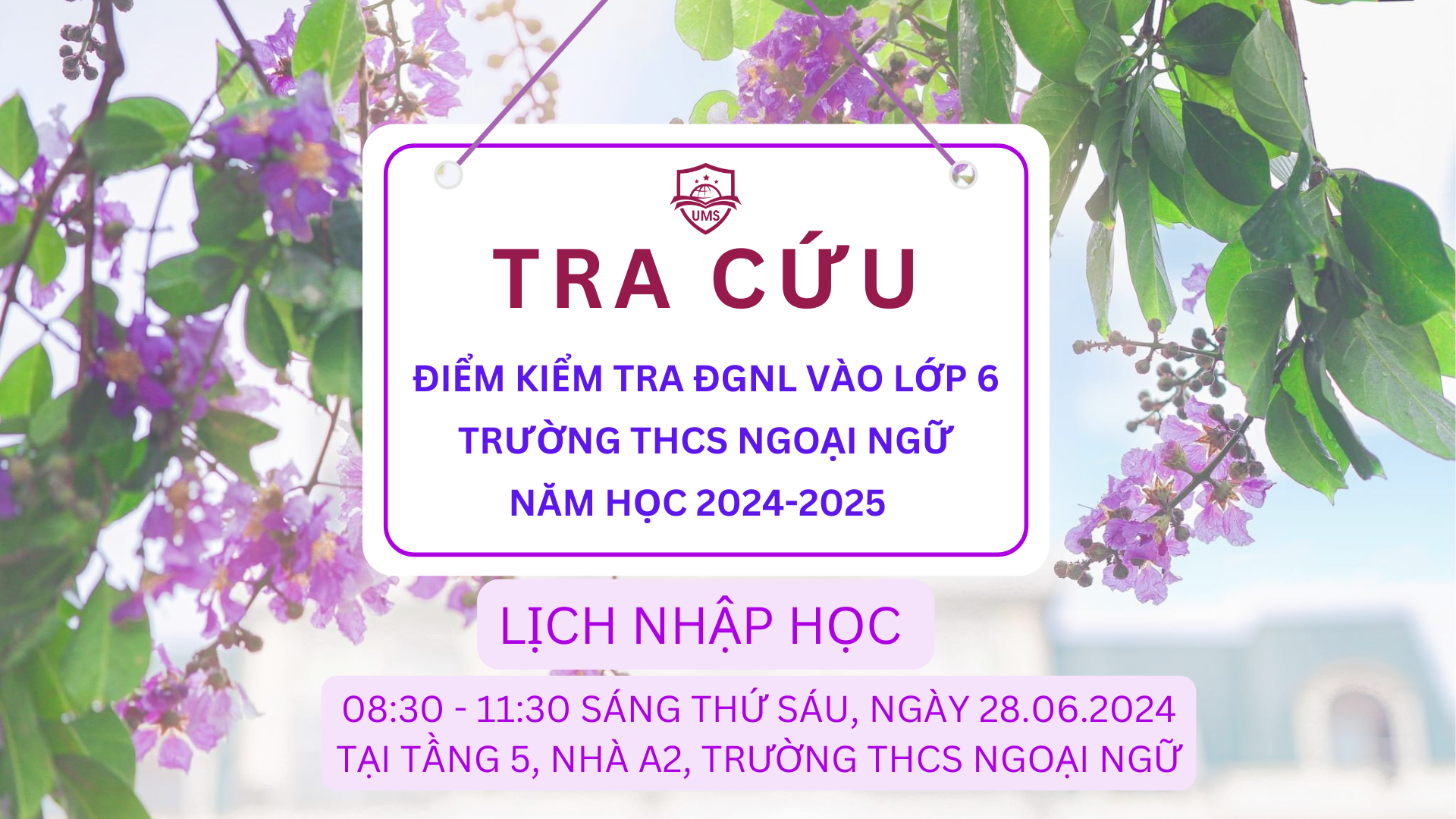 Tra cứu kết quả thi, thông báo nhập học, phúc khảo kỳ thi vào lớp 6 THCS Ngoại ngữ năm học 2024 ...